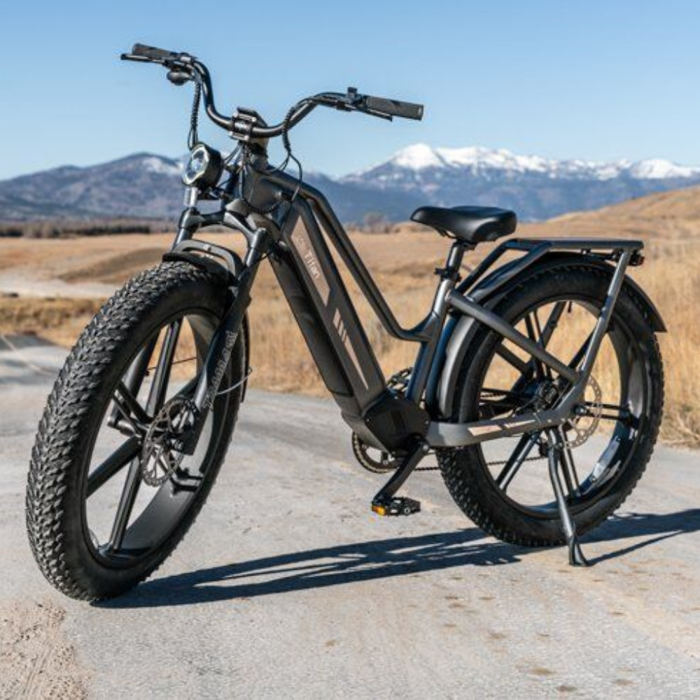 FIIDO Titan 48 V 14.5 Ah Fat Tire Touring E-bike – Kiwi eRide