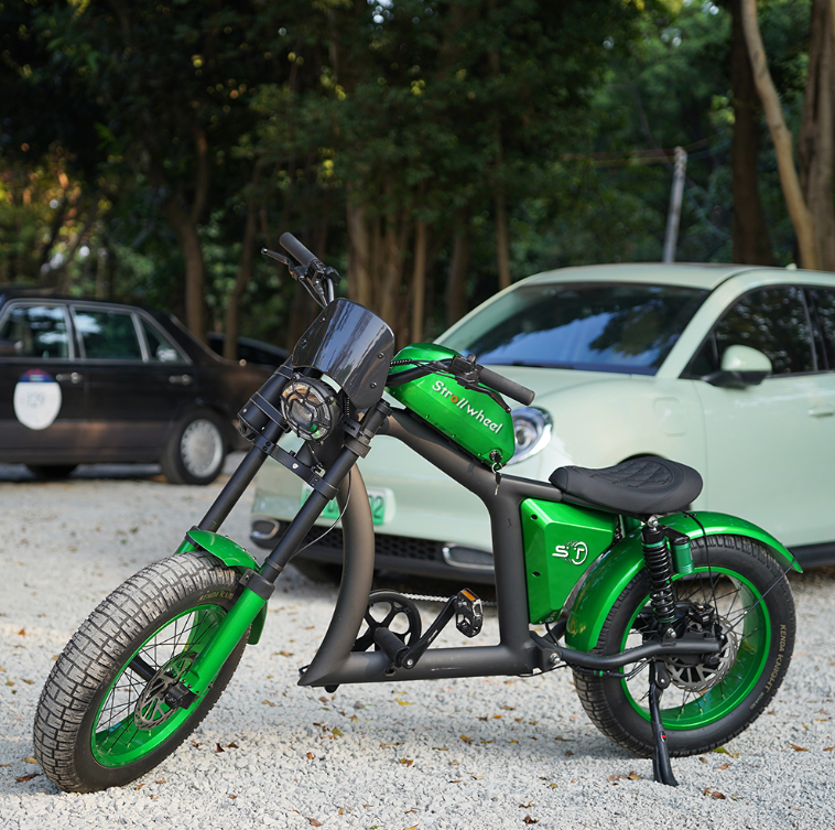 Mangosteen 48V 22.5Ah FT-02 ELECTRIC BIKE E-BIKE Green – Kiwi eRide